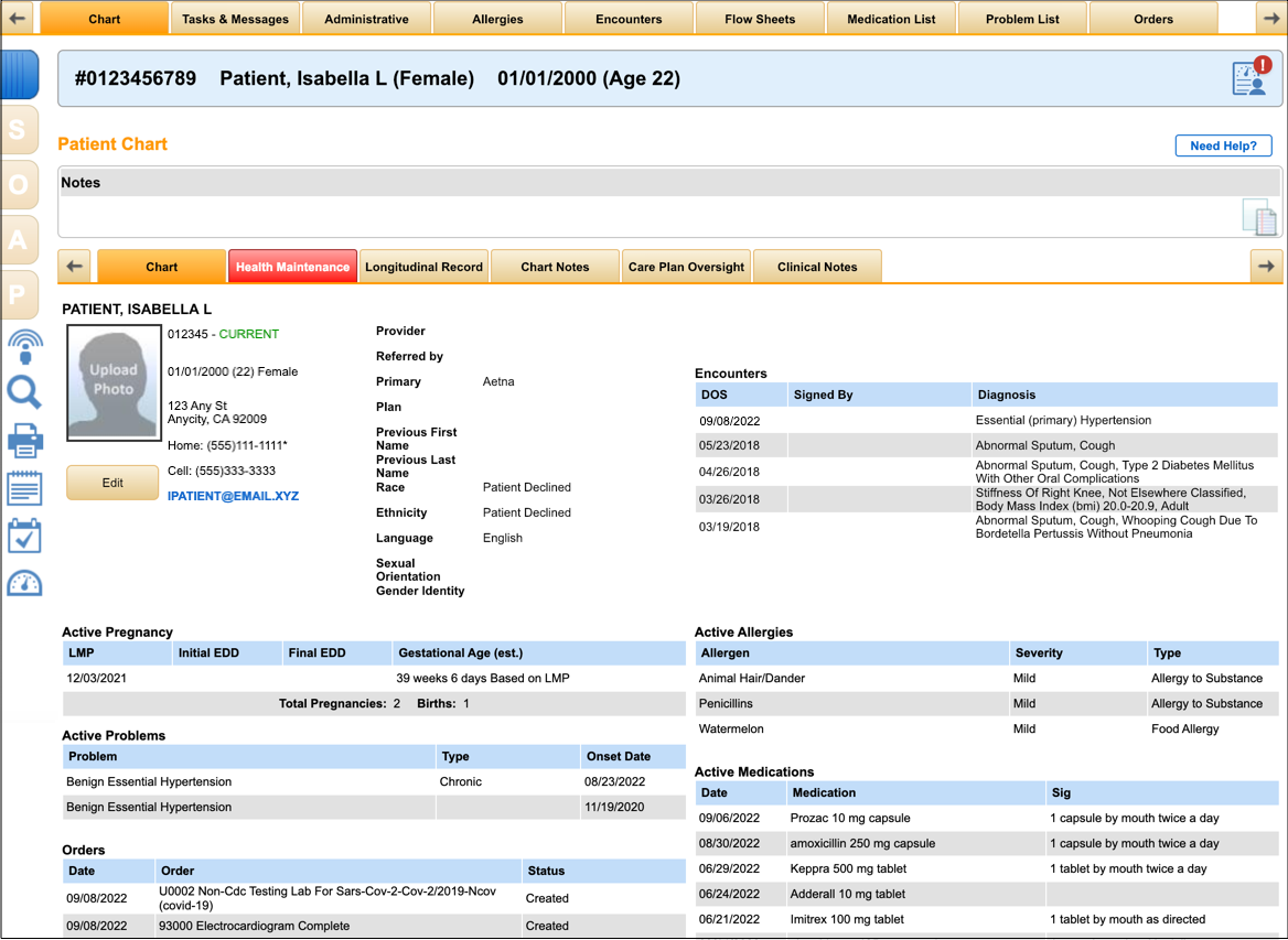 Patient Chart Overview