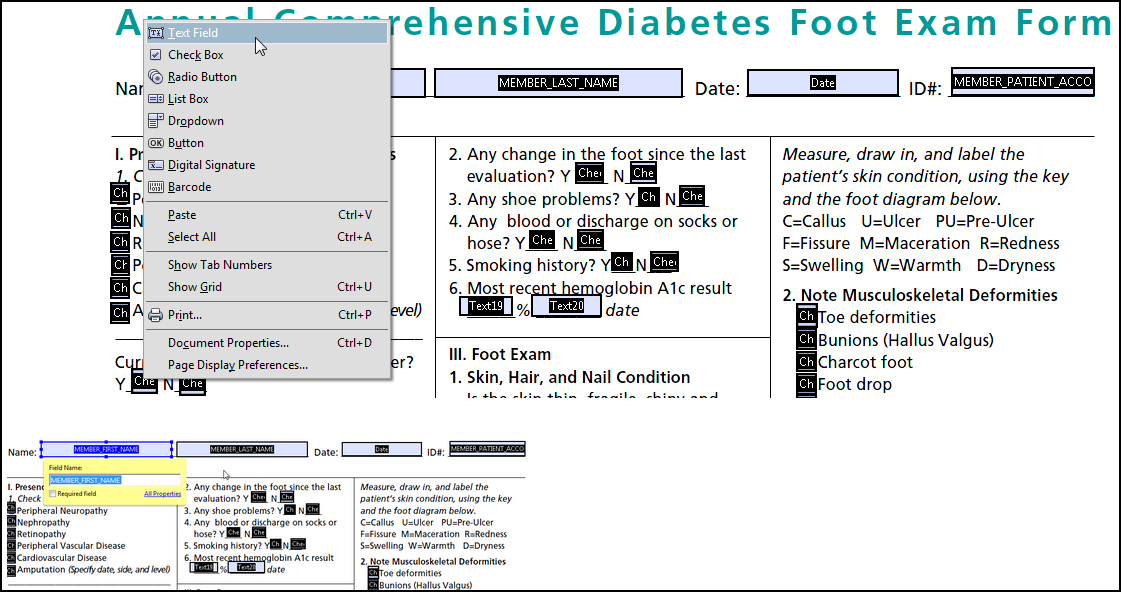 Create Editable PDF Forms